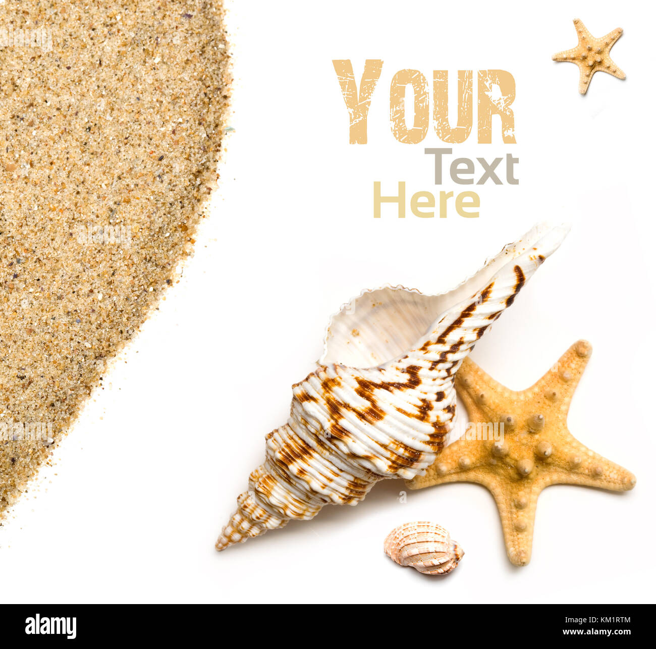 background of sea shells and sand Stock Photo - Alamy