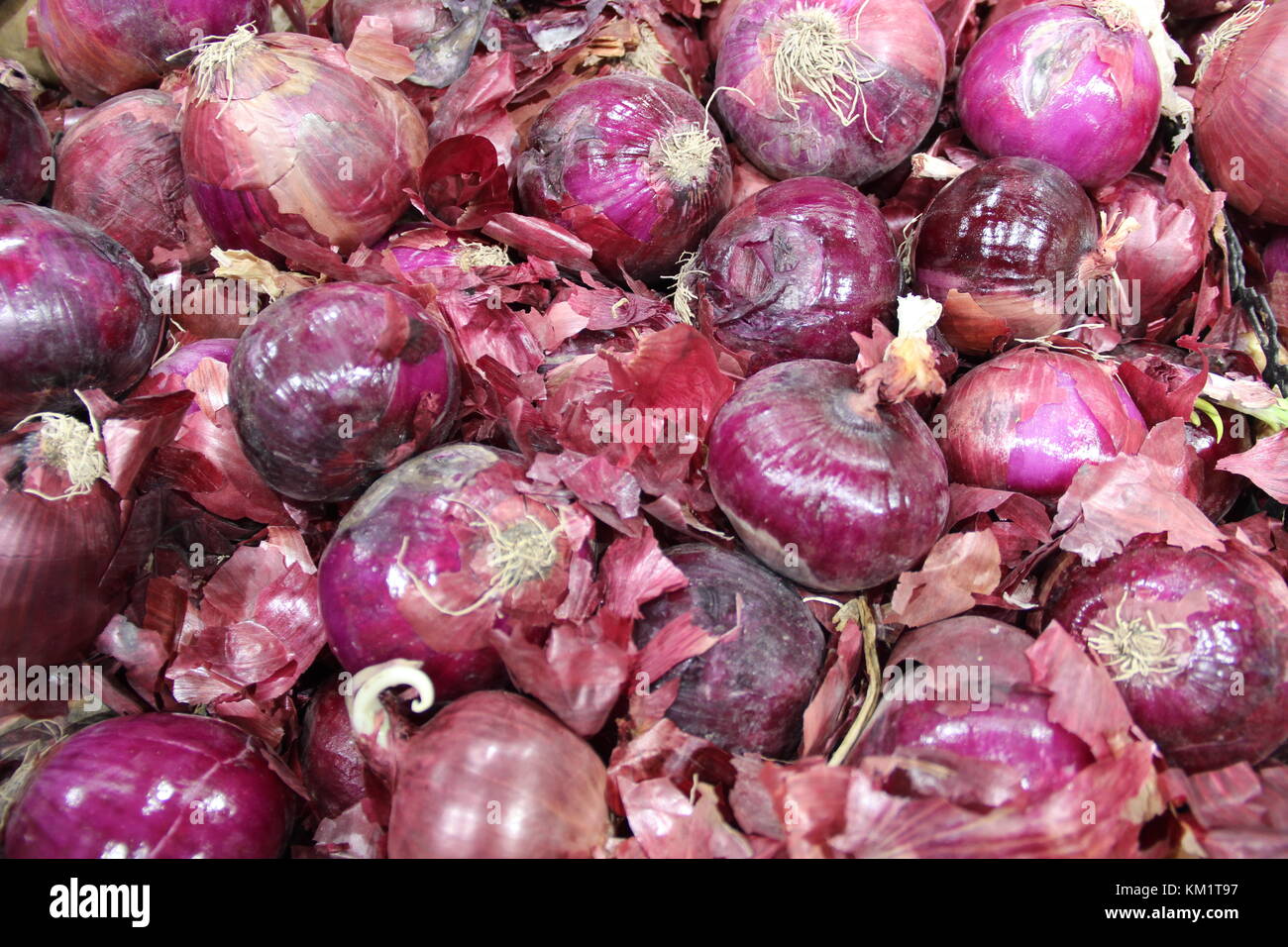 Purple onions on sale in a supermarket Stock Photo - Alamy