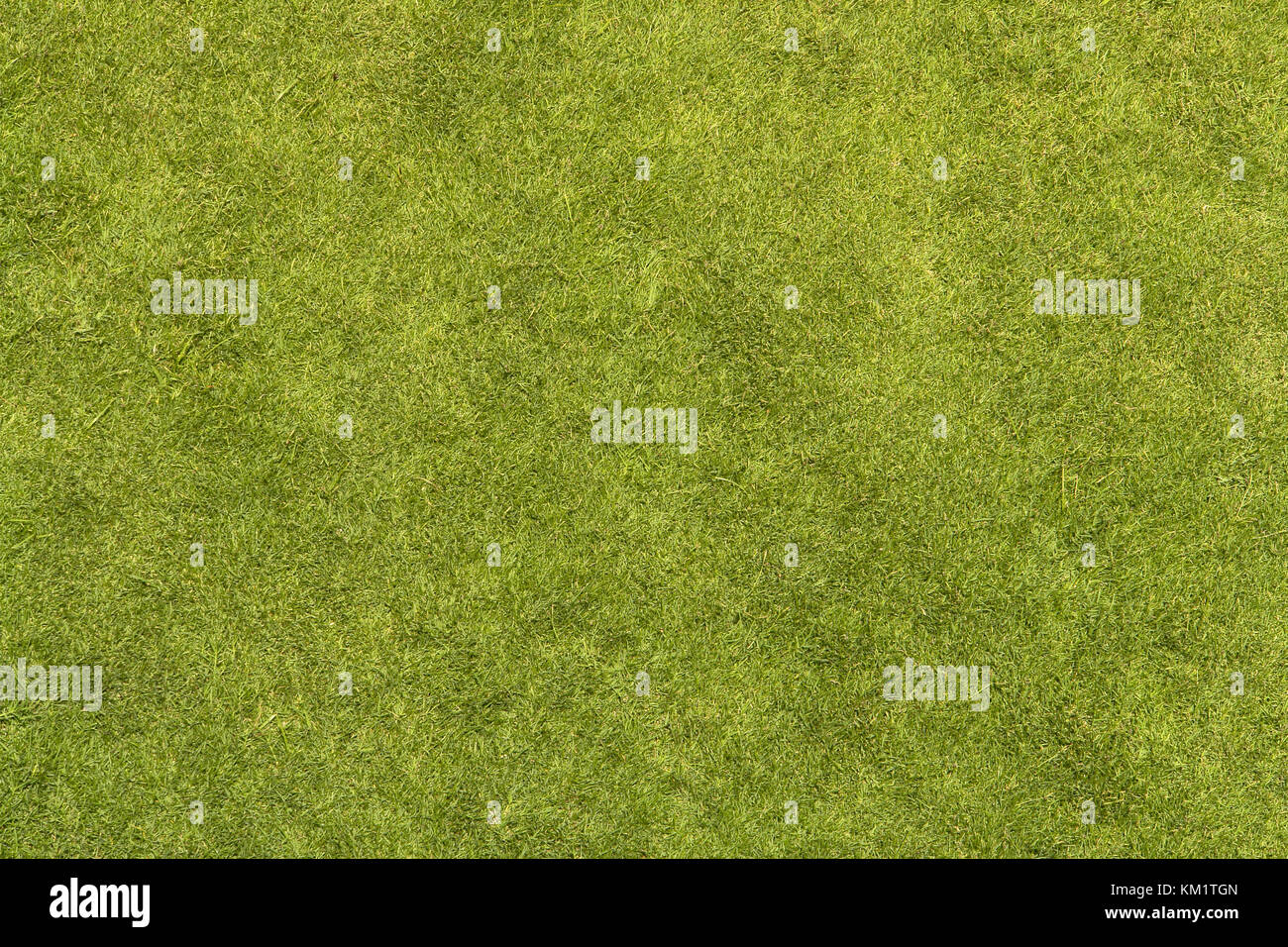 Grassy ground texture High Resolution Stock Photography and Images - Alamy
