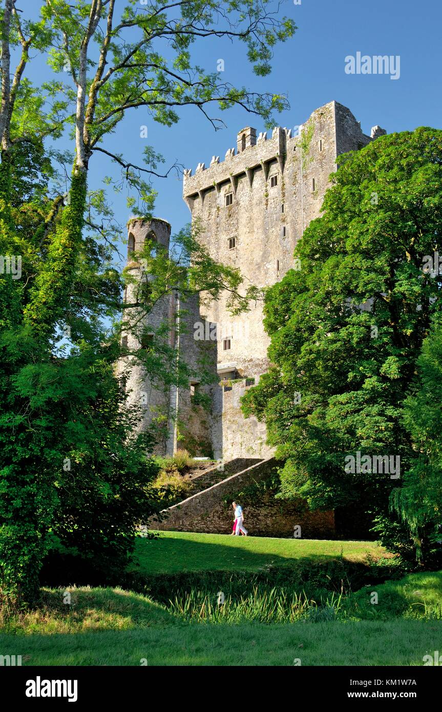 Blarny stone hi-res stock photography and images - Alamy