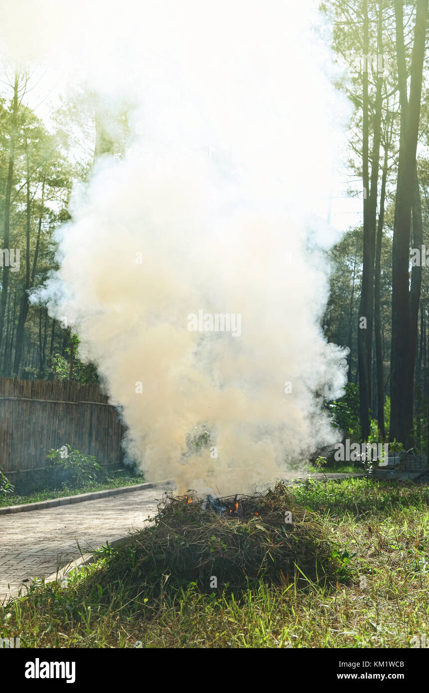 White smoke from burnt grass Stock Photo - Alamy
