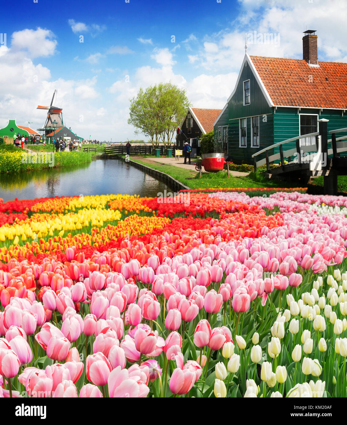 old houses of Zaanse Schans, Netherlands Stock Photo - Alamy