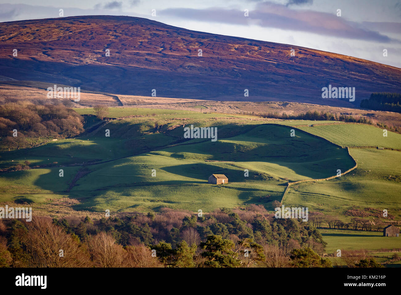 Abbeystead grouse moors Lancashire Stock Photo - Alamy