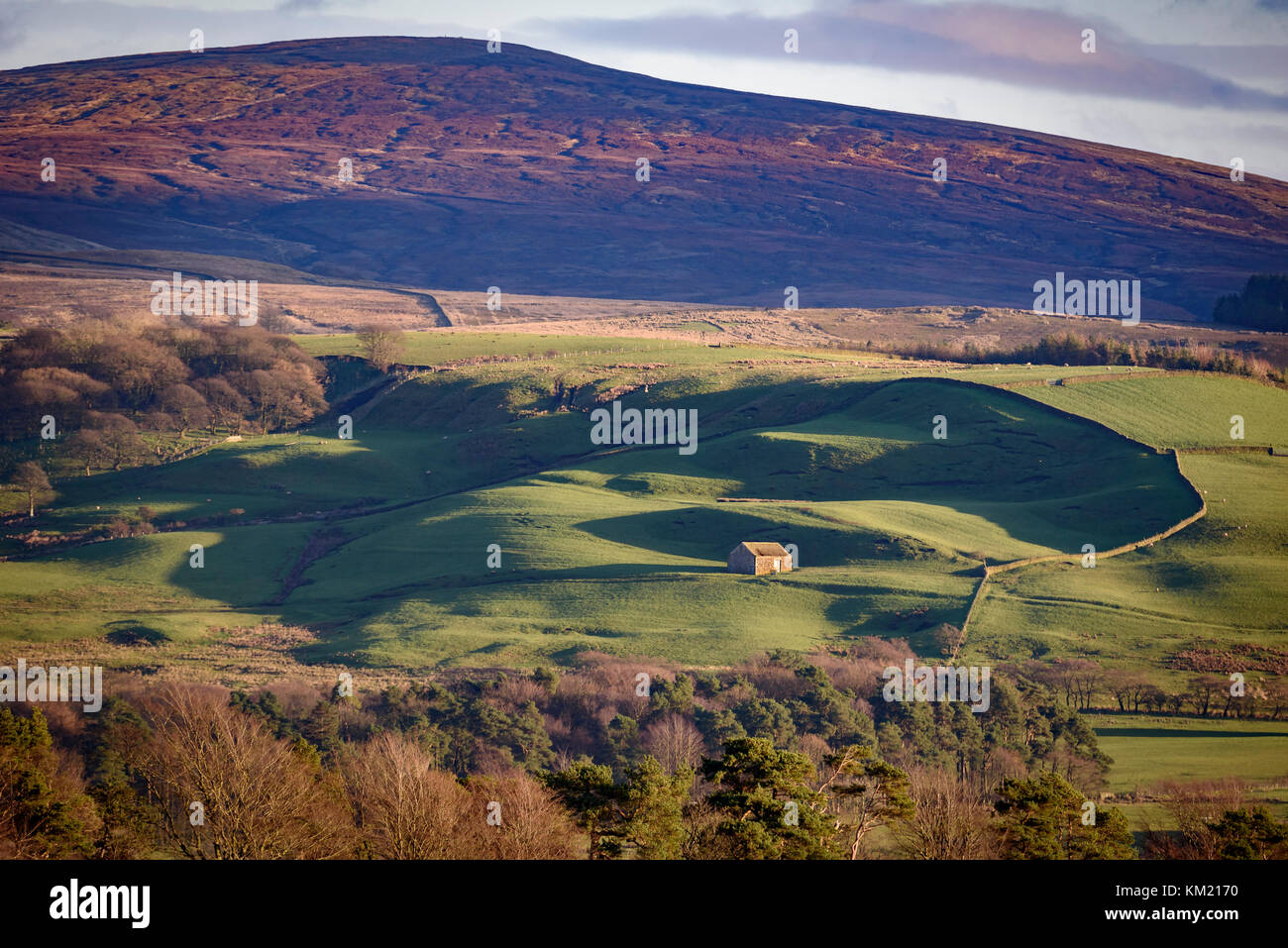 Abbeystead grouse moors Lancashire Stock Photo - Alamy