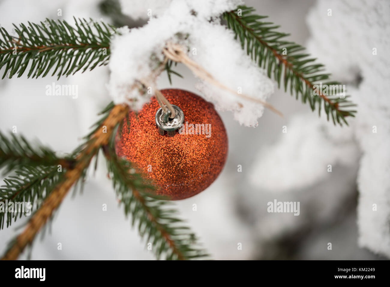 Christmas Tree Baubles Winter Snow Celebration Stock Photo - Alamy