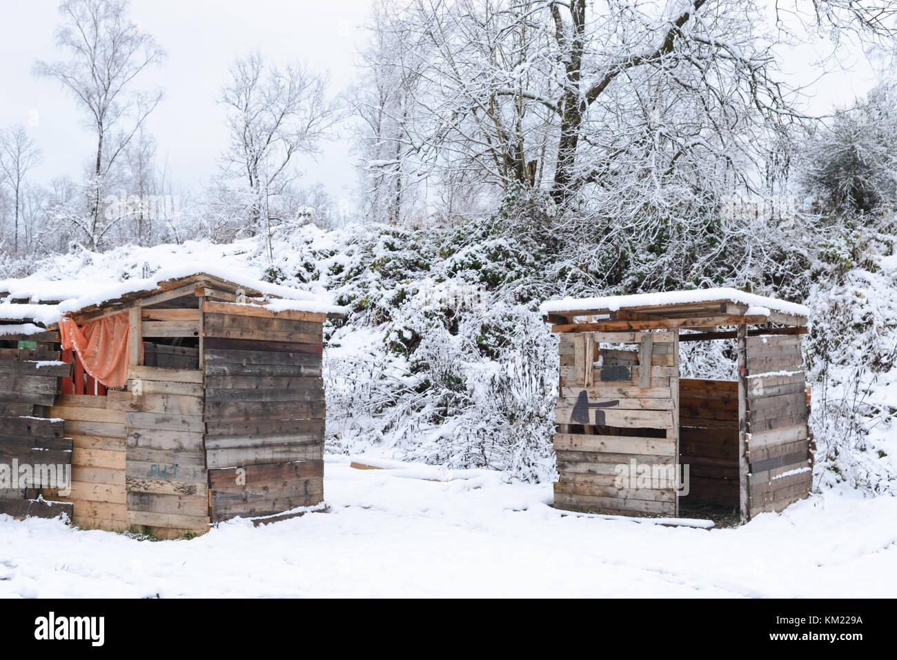 Landscape with Small Huts inside Forest During Winter Stock Photo - Alamy