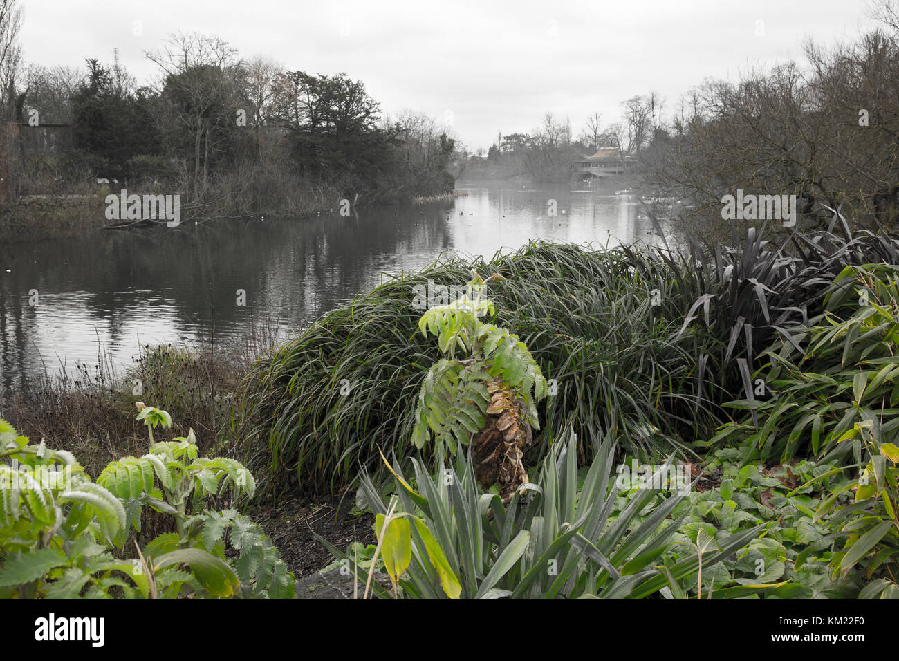 Dublin Zoo. Ireland Stock Photo - Alamy