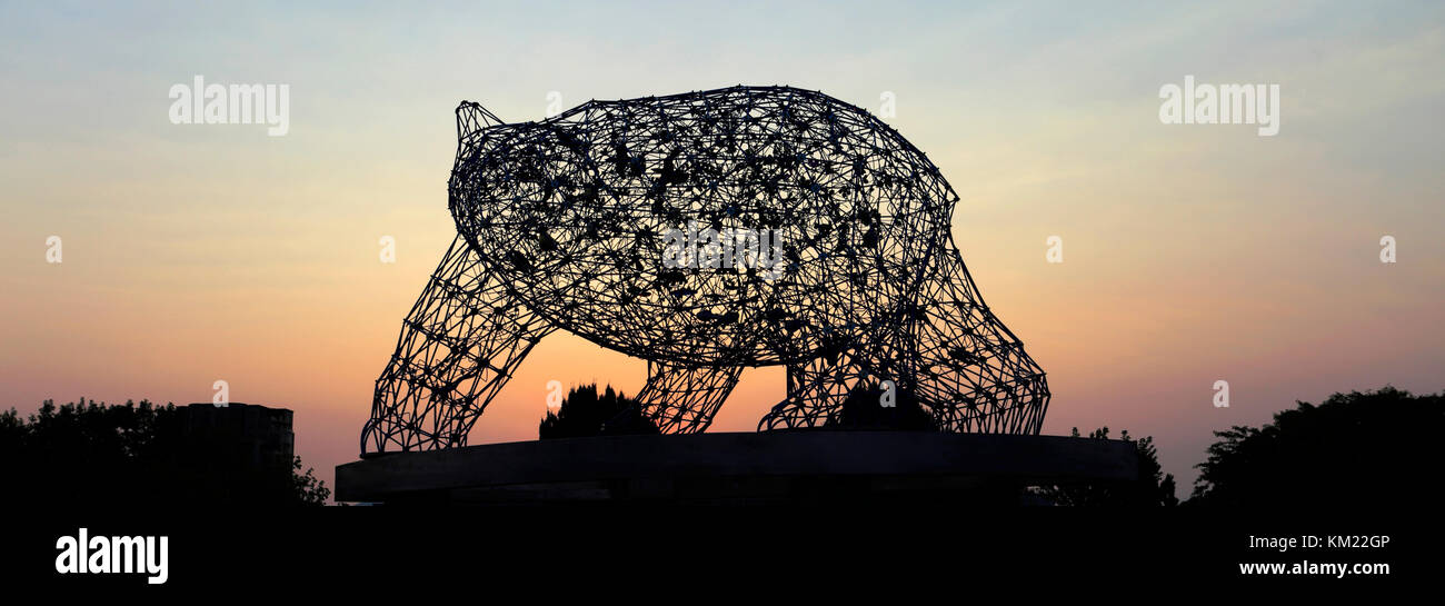 Sunrise over the Grizzly Bear sculpture, Stuart park, City Art Trail ...