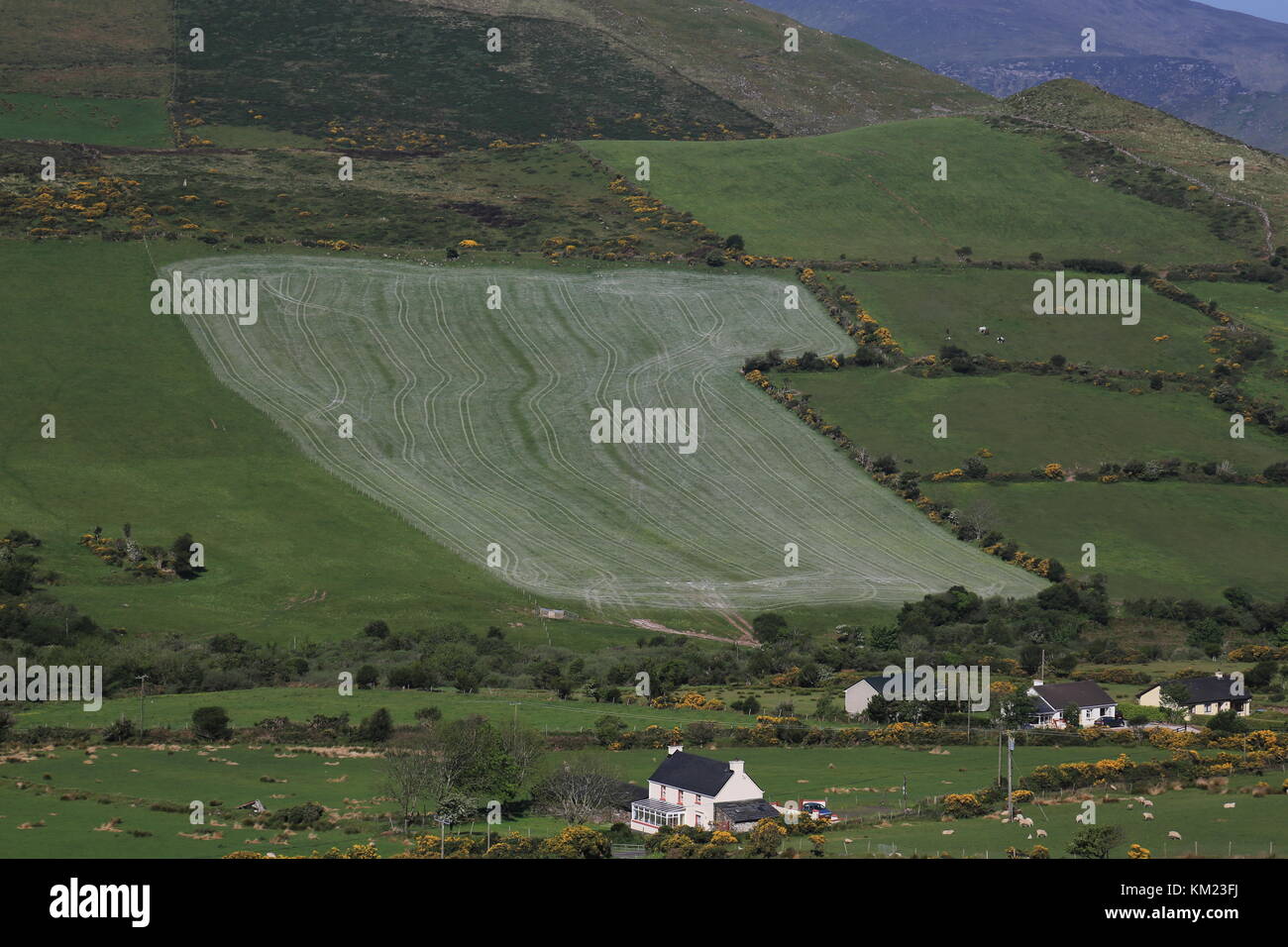 Green fields of ireland hi-res stock photography and images - Alamy