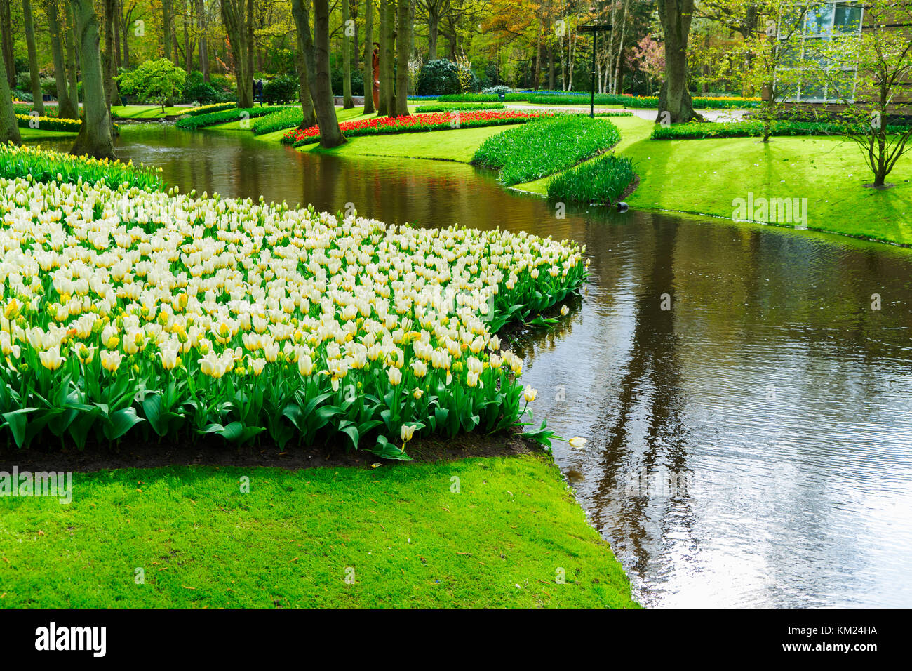 Spring pond in garden Stock Photo - Alamy