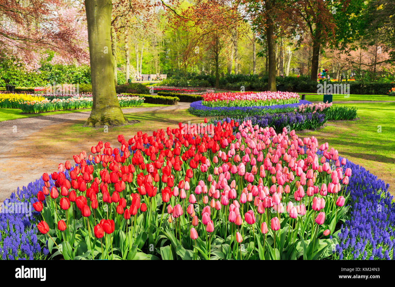 Formal spring garden Stock Photo - Alamy