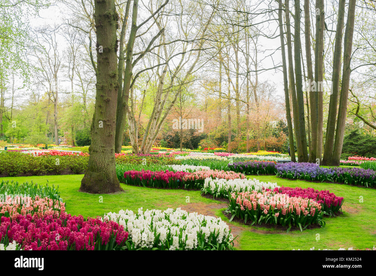 Formal spring garden Stock Photo - Alamy