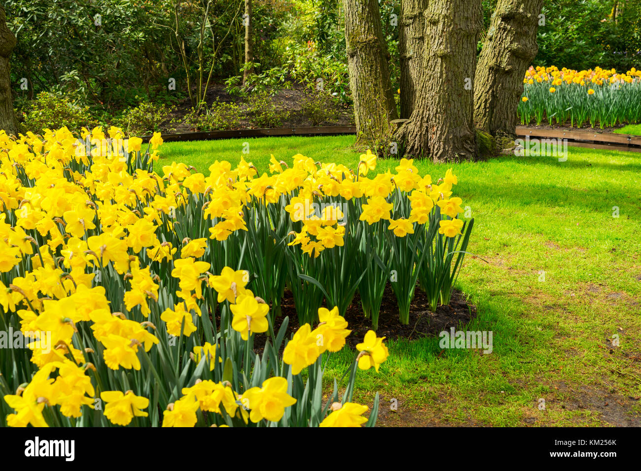 Formal spring garden Stock Photo - Alamy