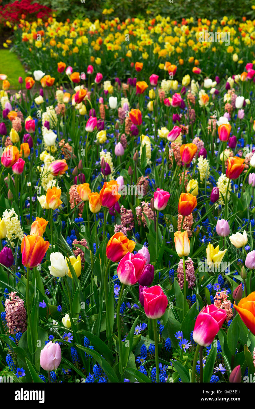 Formal spring garden Stock Photo - Alamy