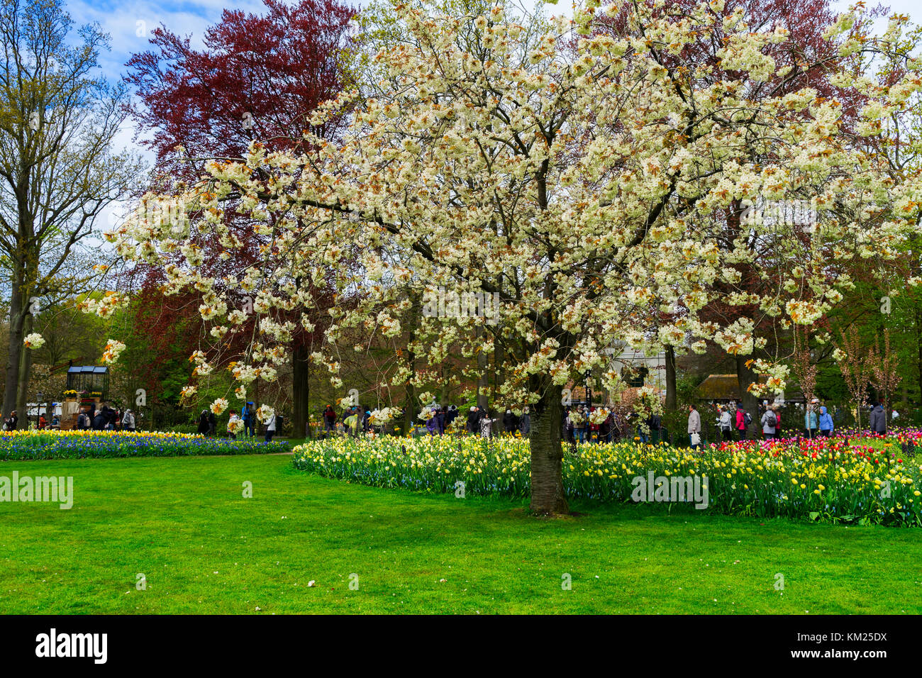 Formal spring garden Stock Photo - Alamy