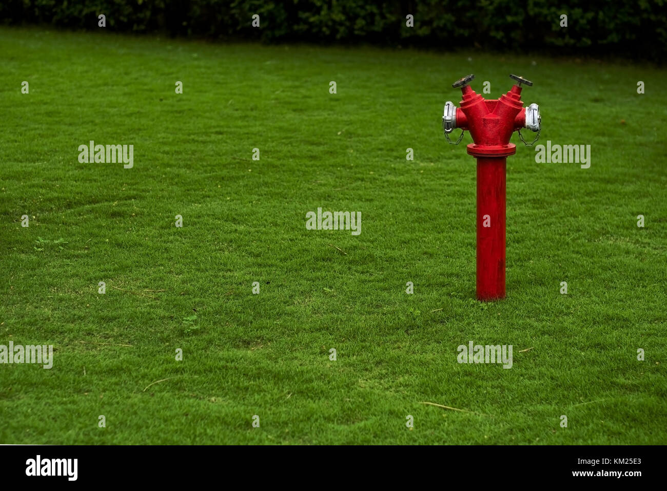 Green Fire Hydrant High Resolution Stock Photography and Images - Alamy