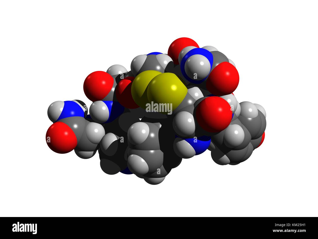 Antidiuretic hormone hi-res stock photography and images - Alamy