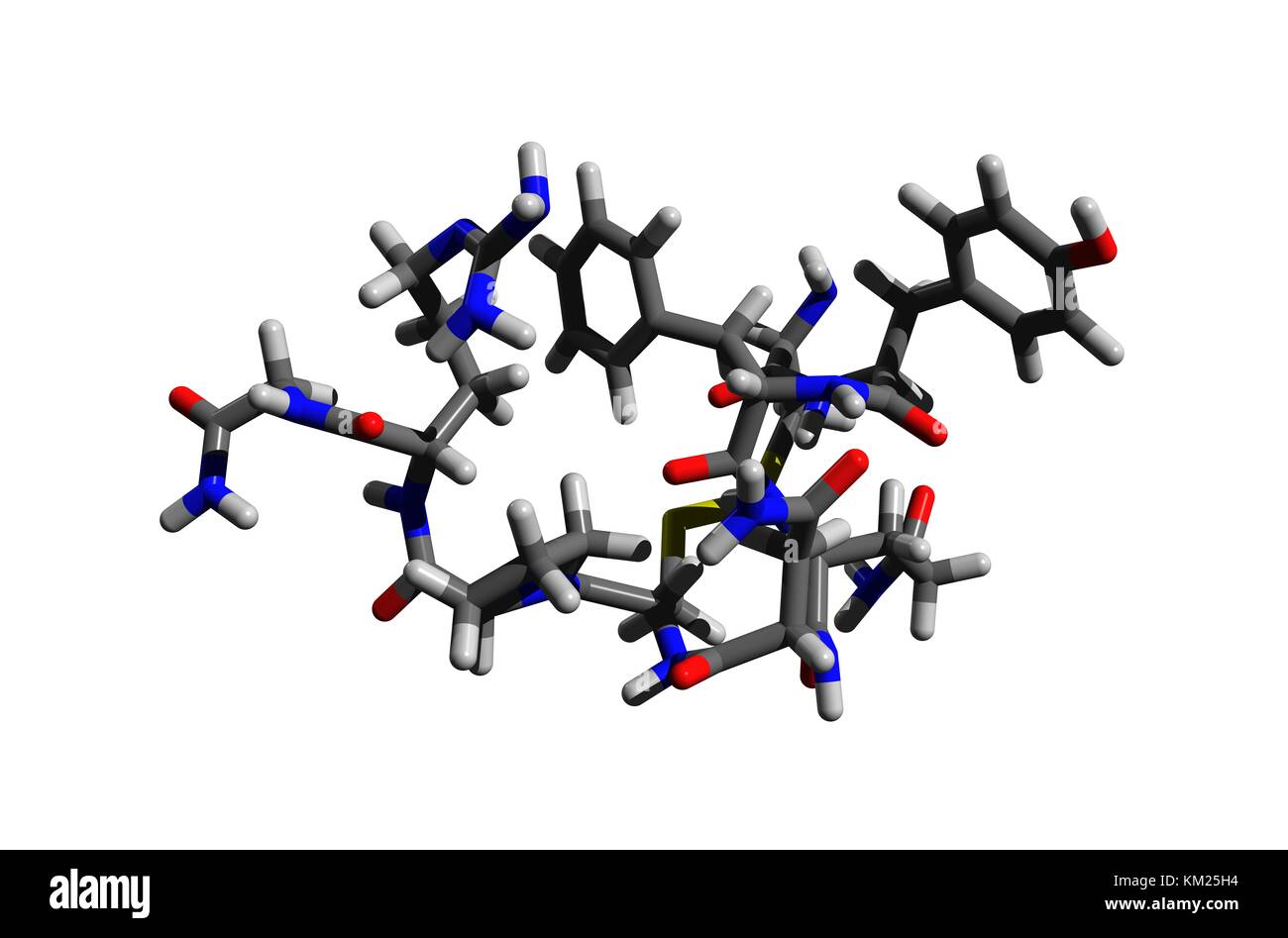 Antidiuretic hormone hi-res stock photography and images - Alamy