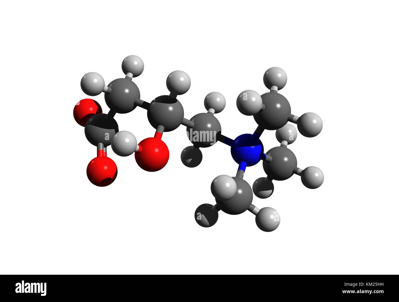 Carnitine molecule chemical structure hi-res stock photography and ...