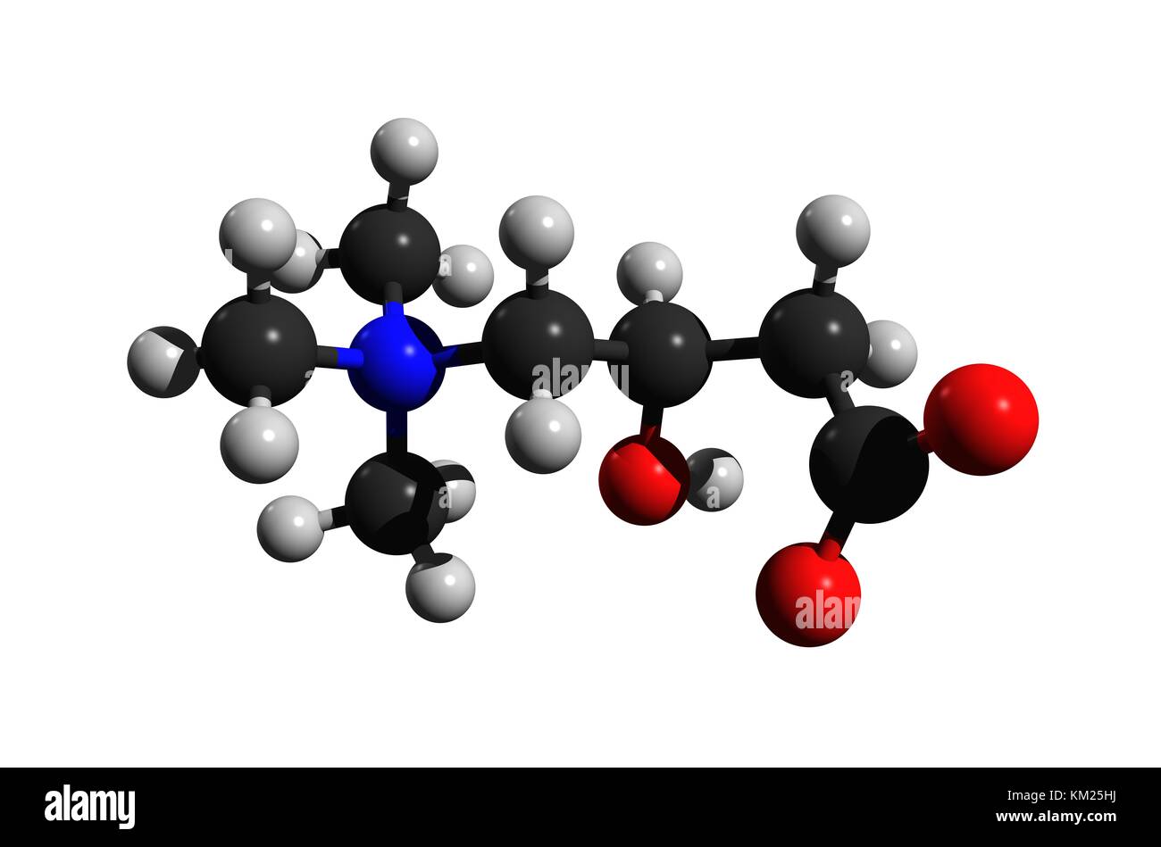 Carnitine molecule chemical structure hi-res stock photography and ...