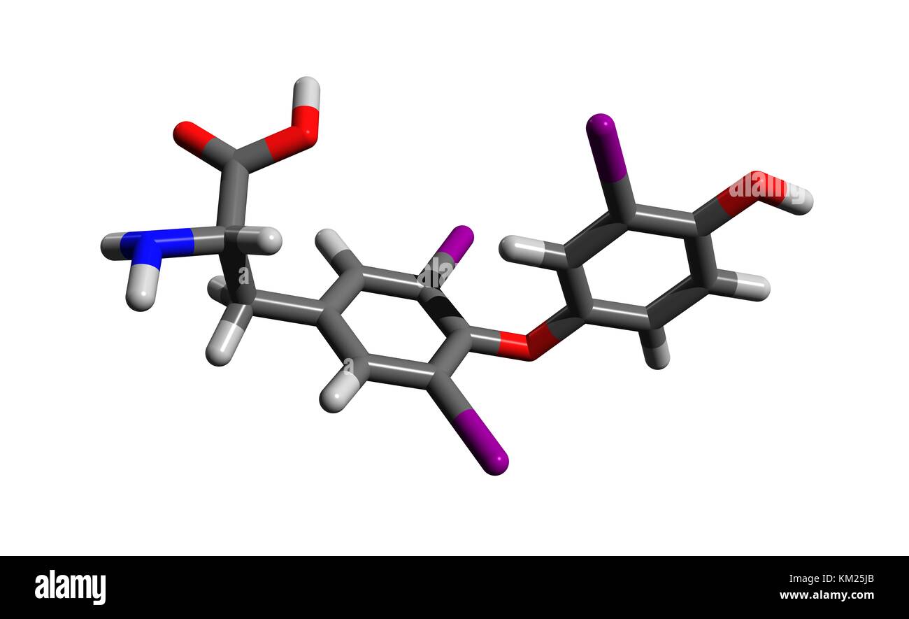 Triiodothyronine hormone t3 liothyronine molecule hi-res stock ...