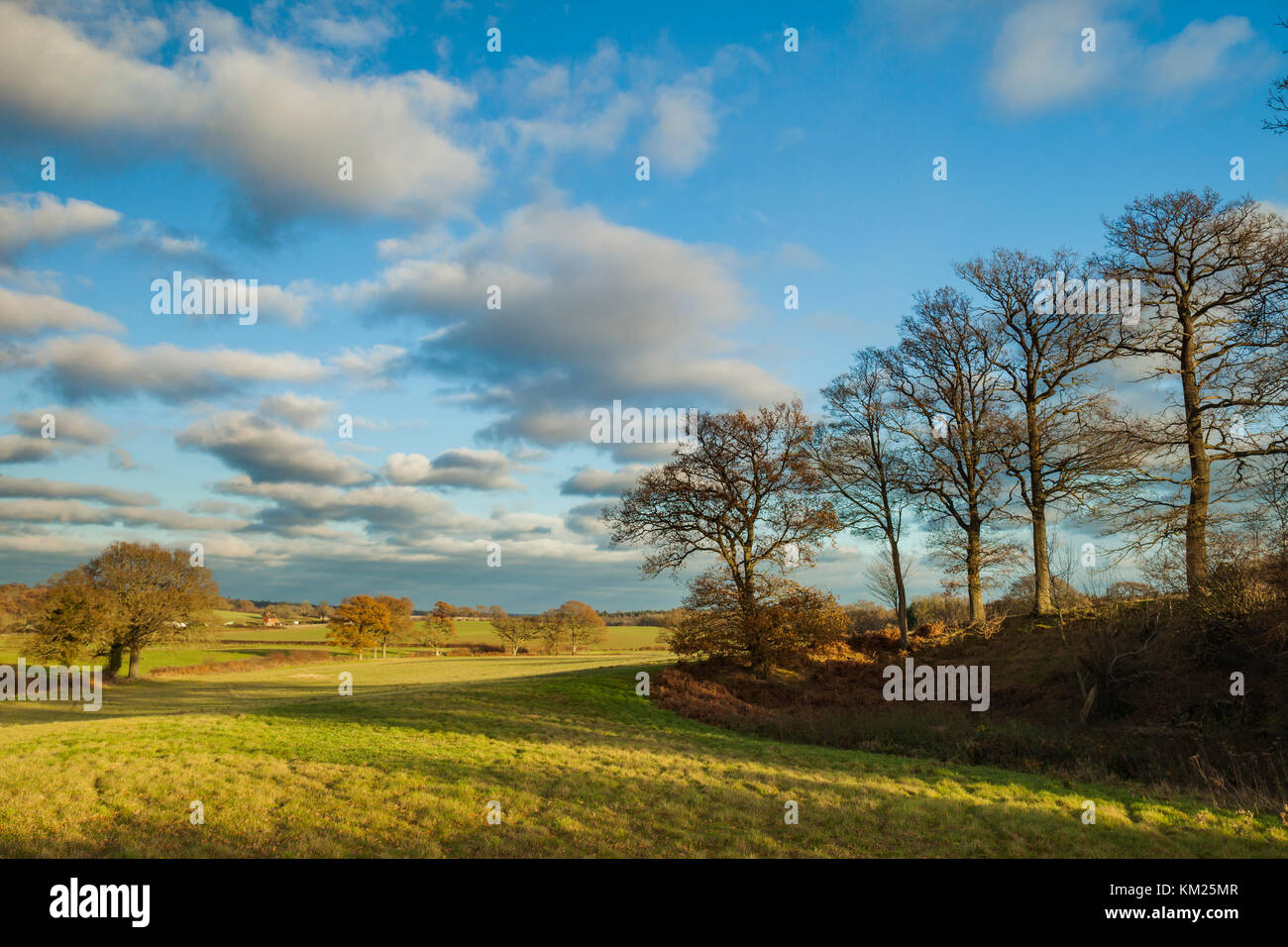 Beautiful english countryside in the autumn hi-res stock photography ...