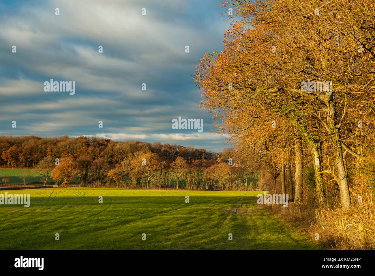Beautiful english countryside in the autumn hi-res stock photography ...