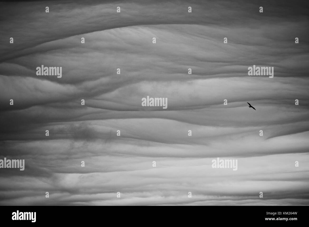 Wavy undersurface hi-res stock photography and images - Alamy