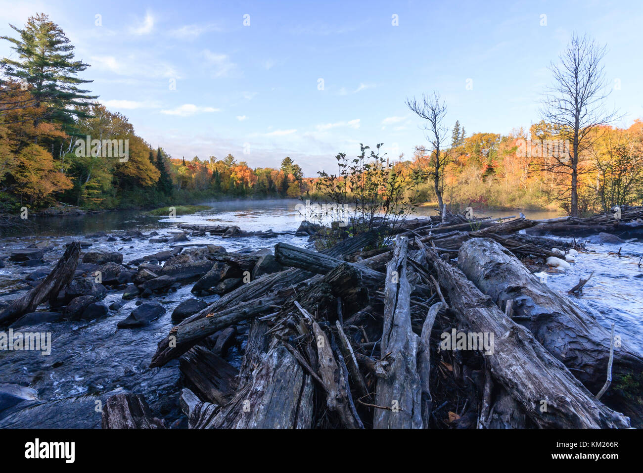 Quiet view of the bottom of a falls in autumn Stock Photo - Alamy