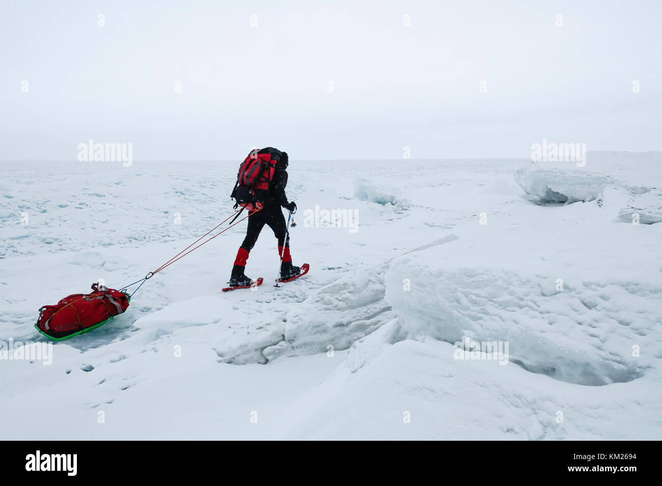 Athlete training for polar mountaineering expedition by pulling sled ...