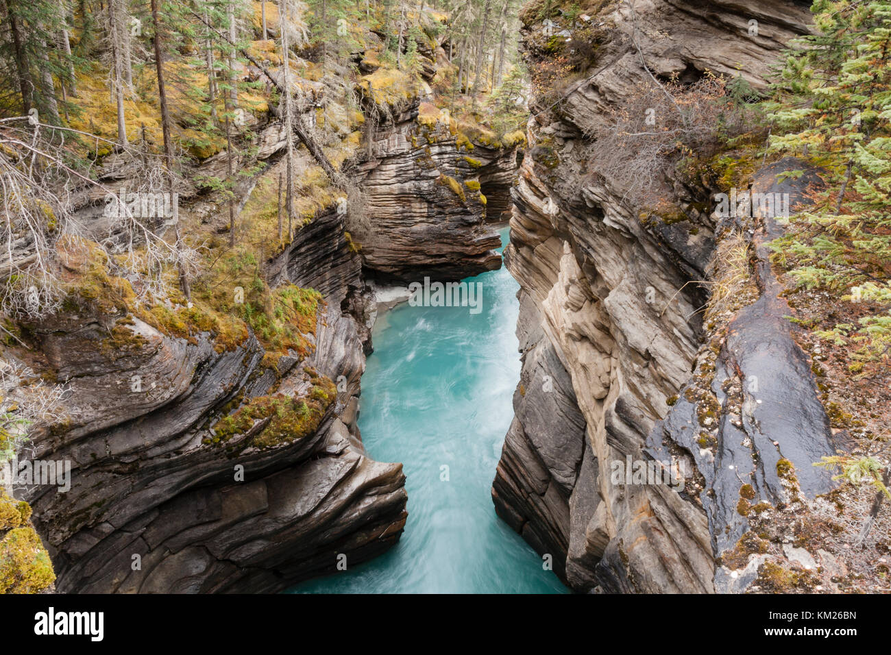 Sunwapta Falls in Jasper National Park, Alberta, Canada Stock Photo - Alamy