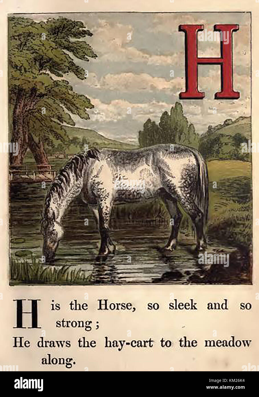 An historic coloured Victorian children's ABC book illustration - H is ...