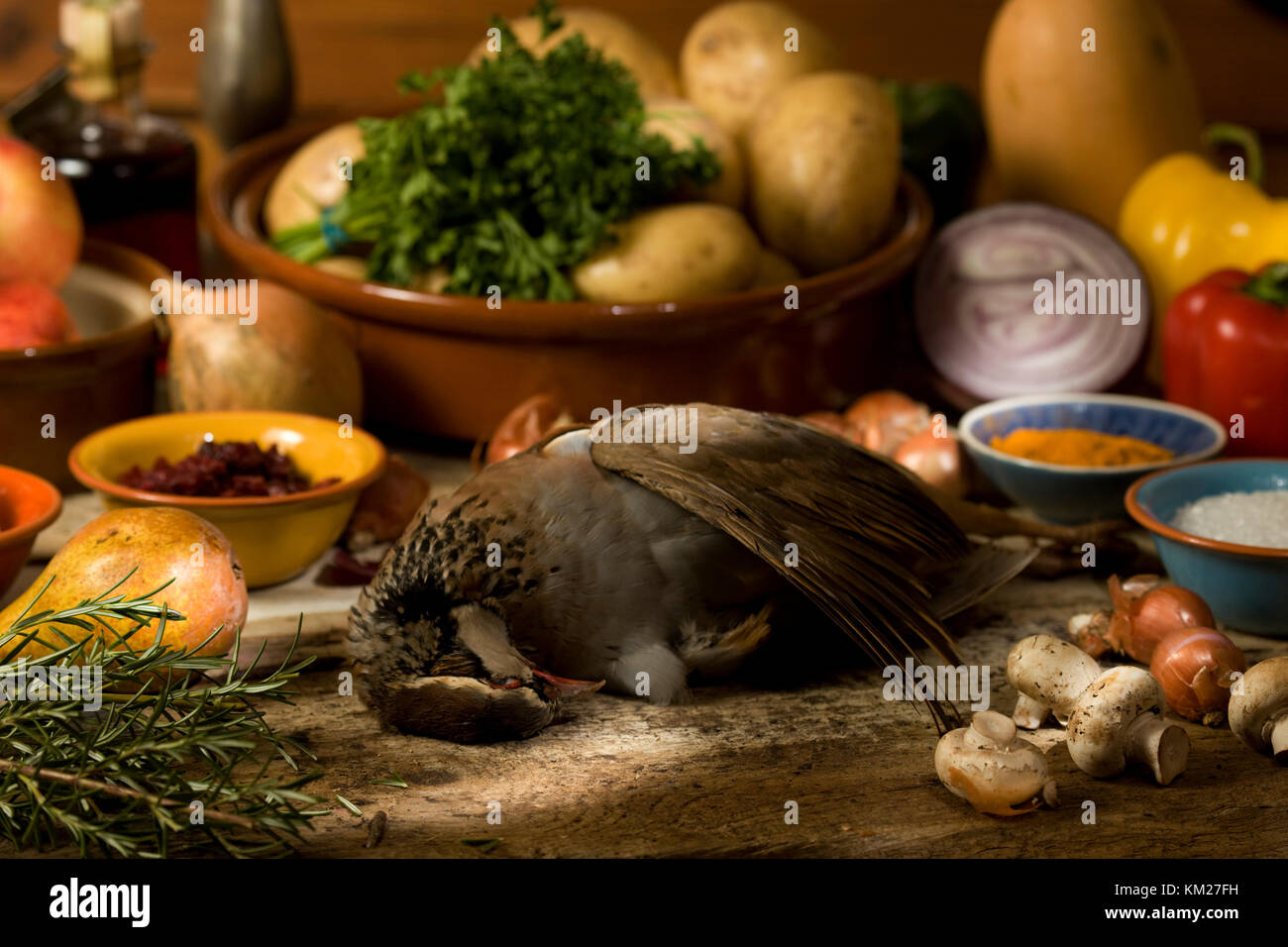 Dead partridge hi-res stock photography and images - Alamy