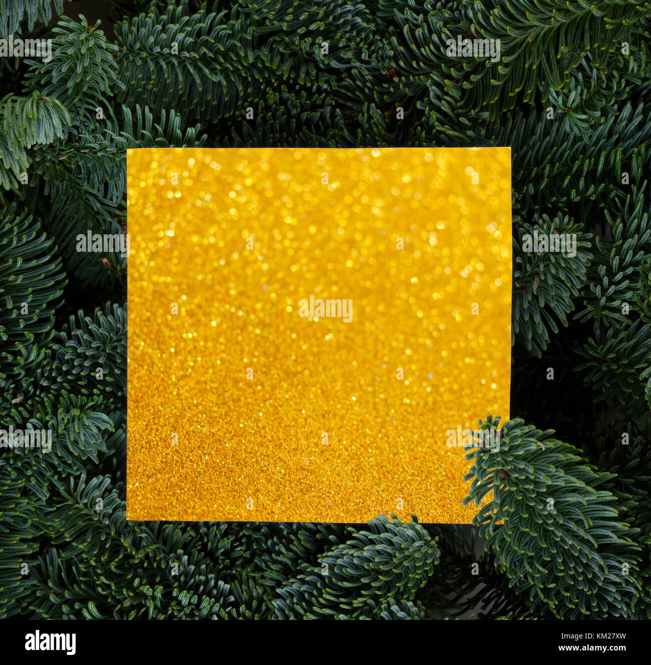 Christmas background with evergreen tree Stock Photo - Alamy