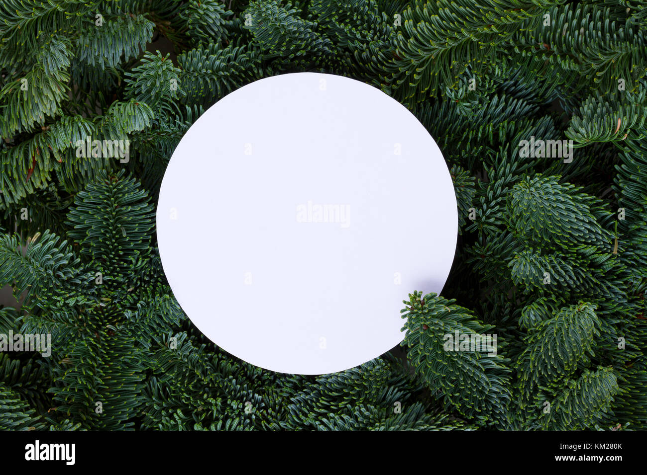 Christmas background with evergreen tree Stock Photo - Alamy