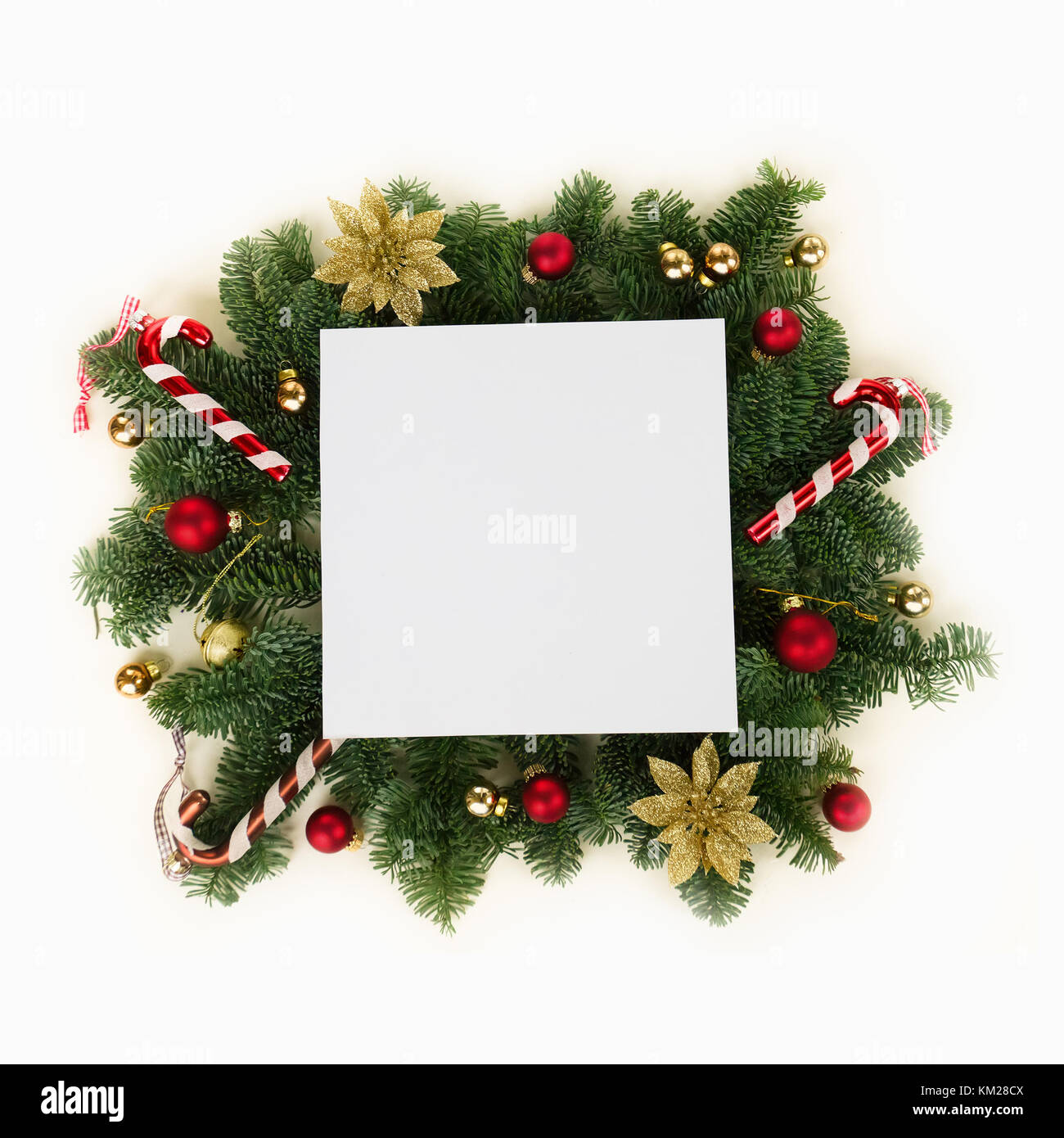 Christmas background with evergreen tree Stock Photo - Alamy
