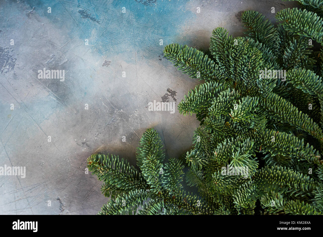Christmas background with evergreen tree Stock Photo - Alamy