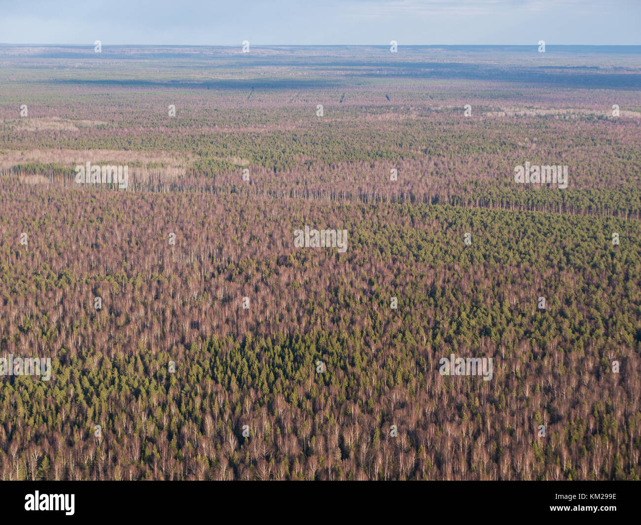 Aerial view of forest landscaped view hi-res stock photography and ...