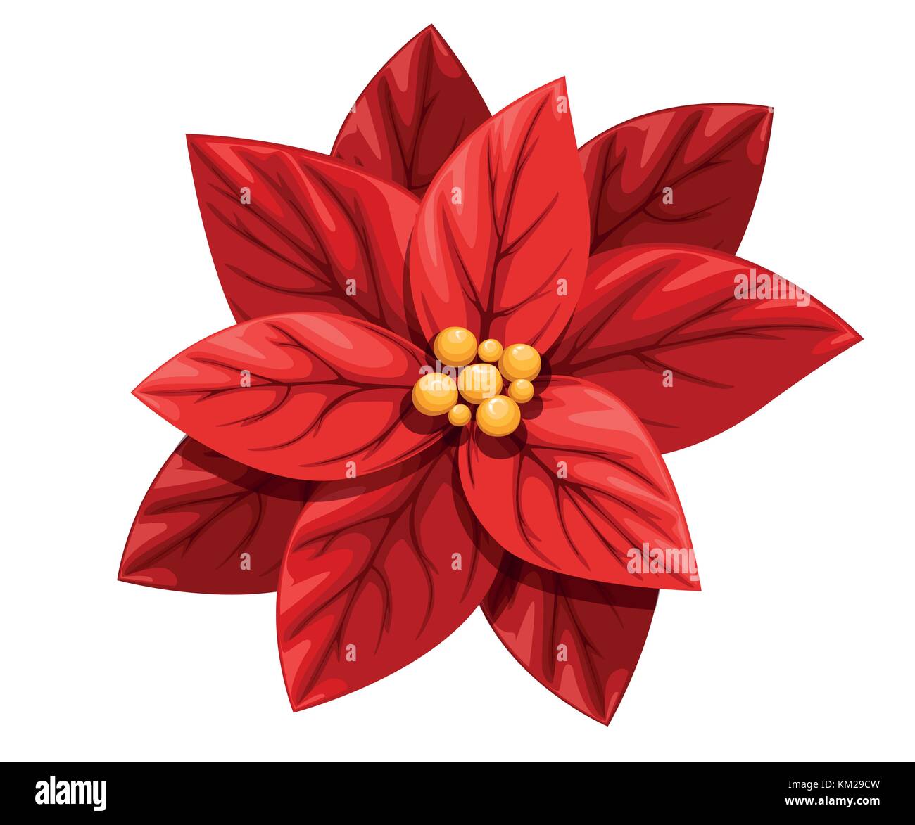 Poinsettia Clipart Png Images