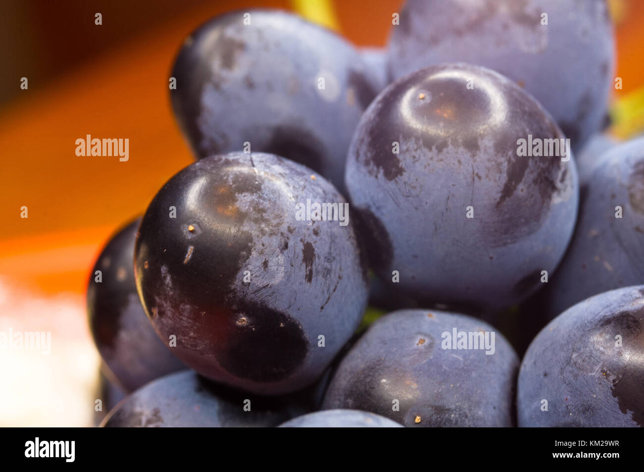 Berry blue wine grapes on a red saucer, macro, close-up Stock Photo - Alamy