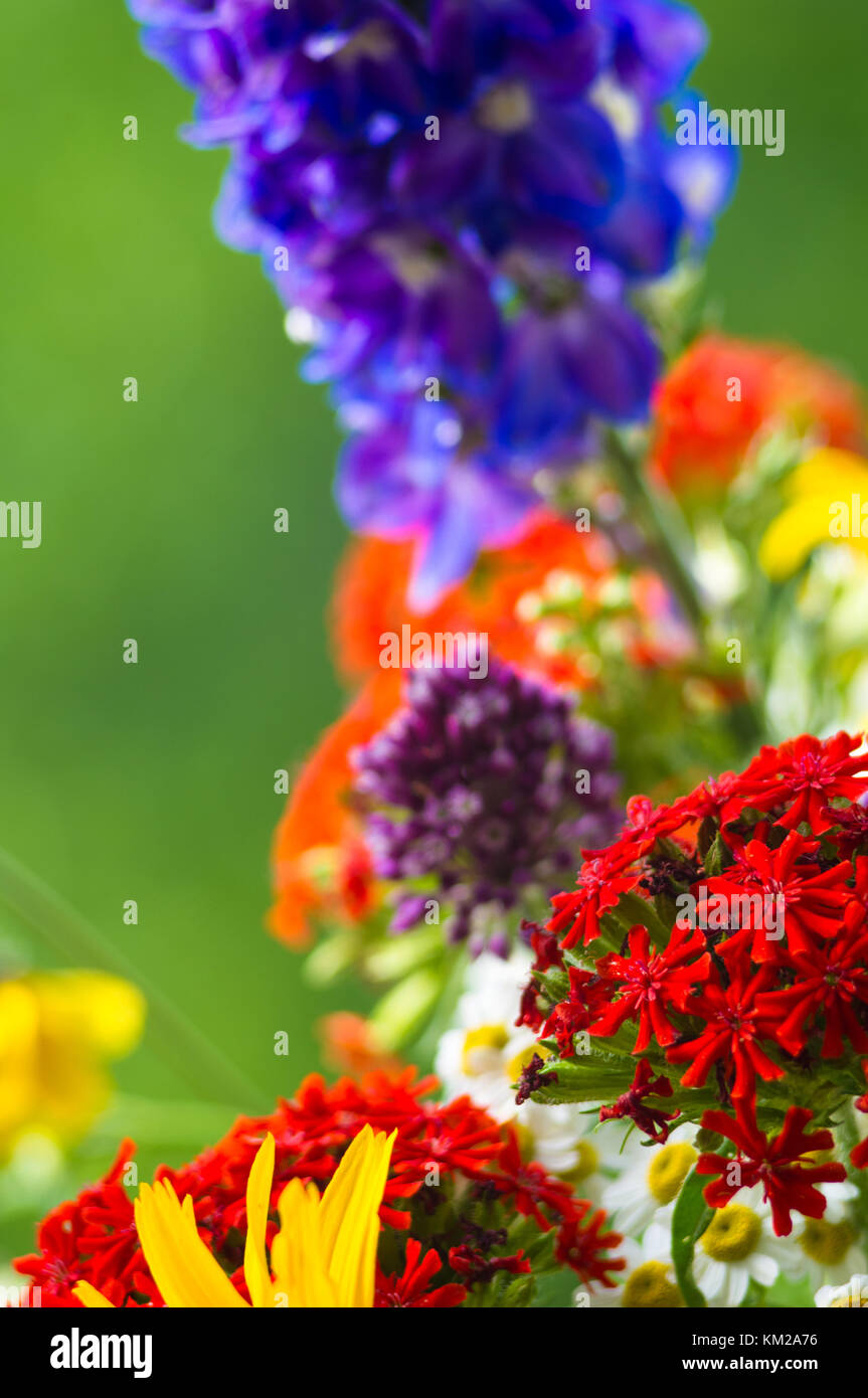 a colorful bouquet of bright spring flowers of various types, close-up ...