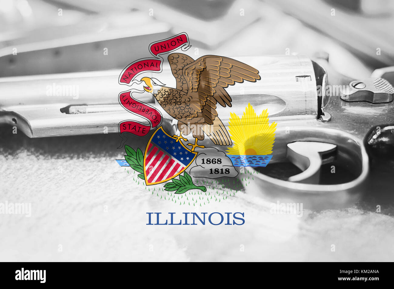 Illinois flag (U.S. state) Gun Control USA. United States Gun Laws ...