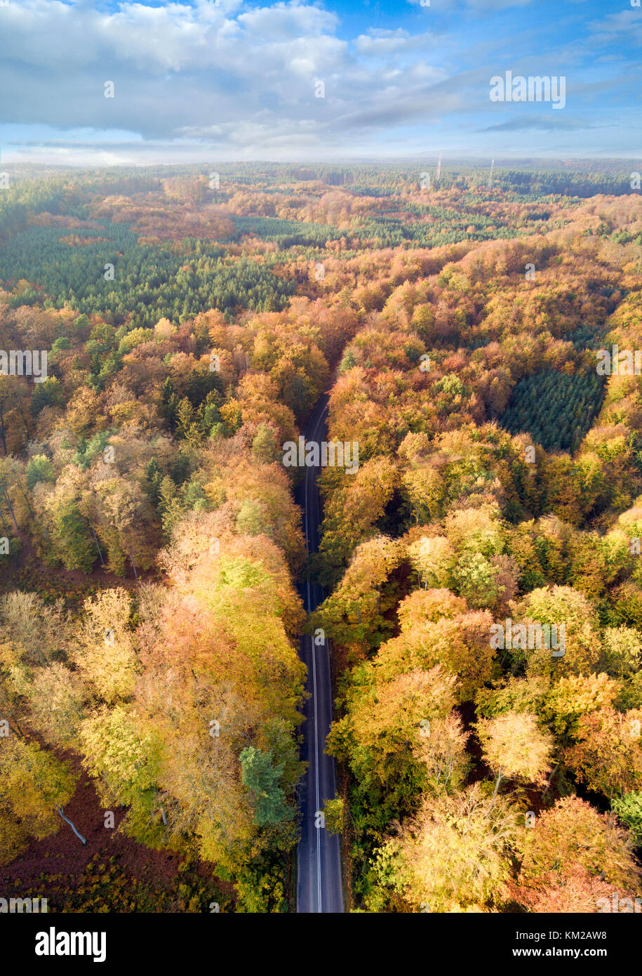 Road crossing autumn colors forest from above, drone aerial photo Stock ...