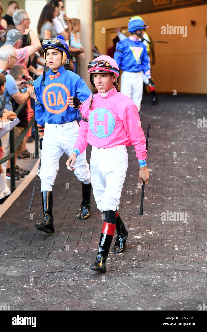 HALLANDALE, FL - DECEMBER 02: Flowers for Lisa with jockey Paco Lopez ...