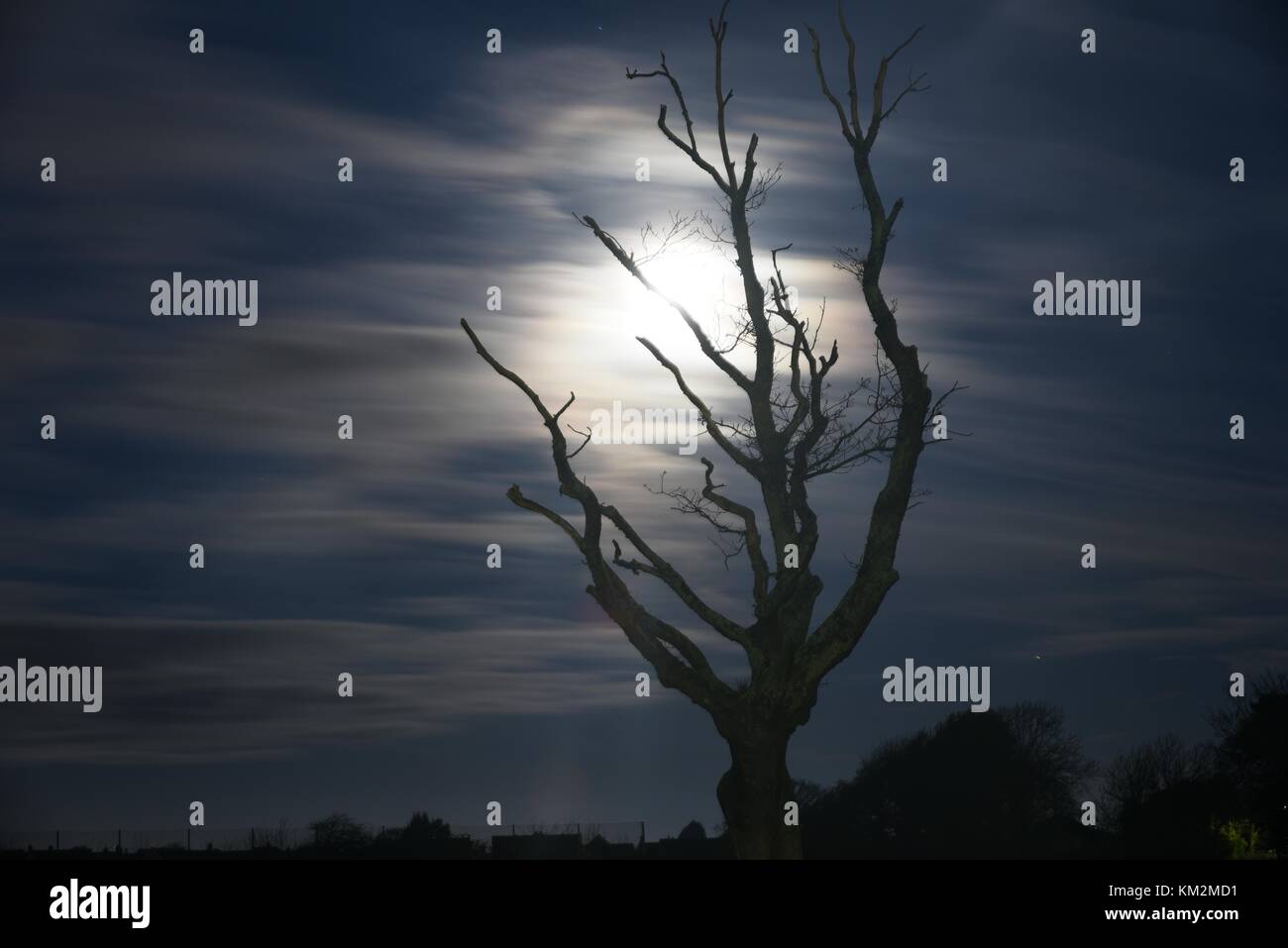Stock photos of full moon hi-res stock photography and images - Alamy
