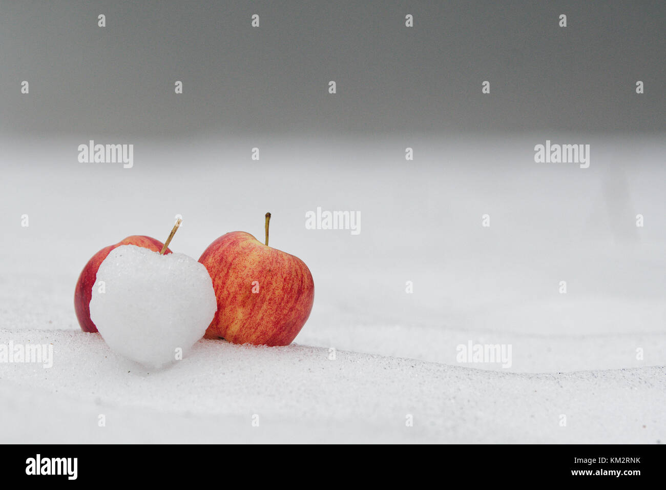 Two red apples on a white snow with fog in background Stock Photo - Alamy
