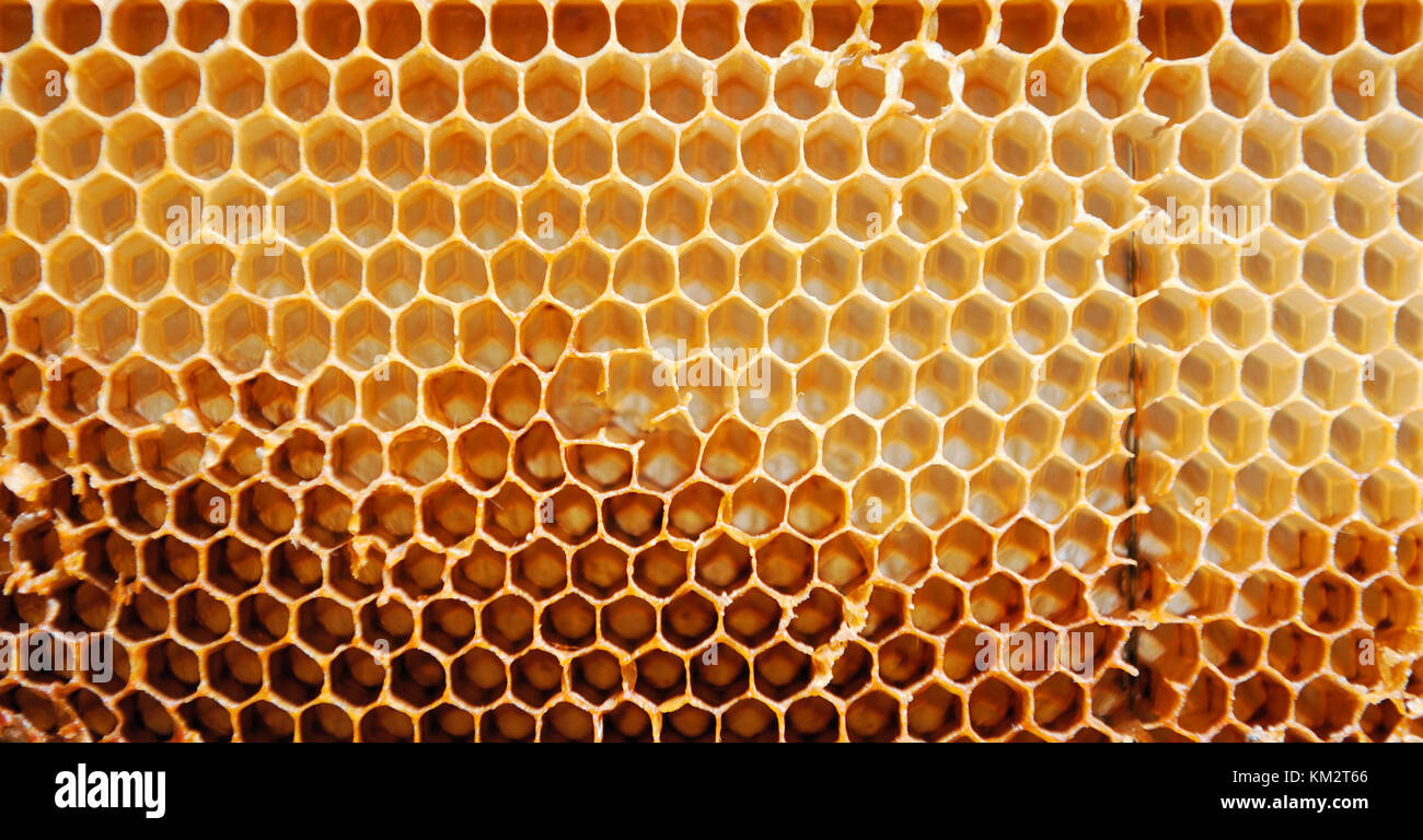 Making an abstract organic shape hi-res stock photography and images - Alamy