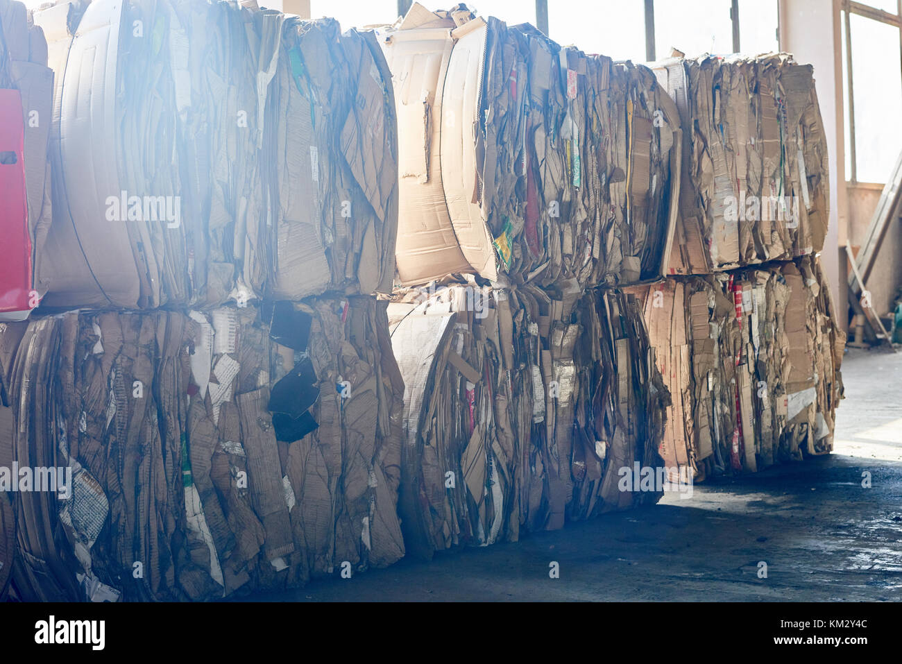Cardboard Packs on Recycling Plant Stock Photo - Alamy