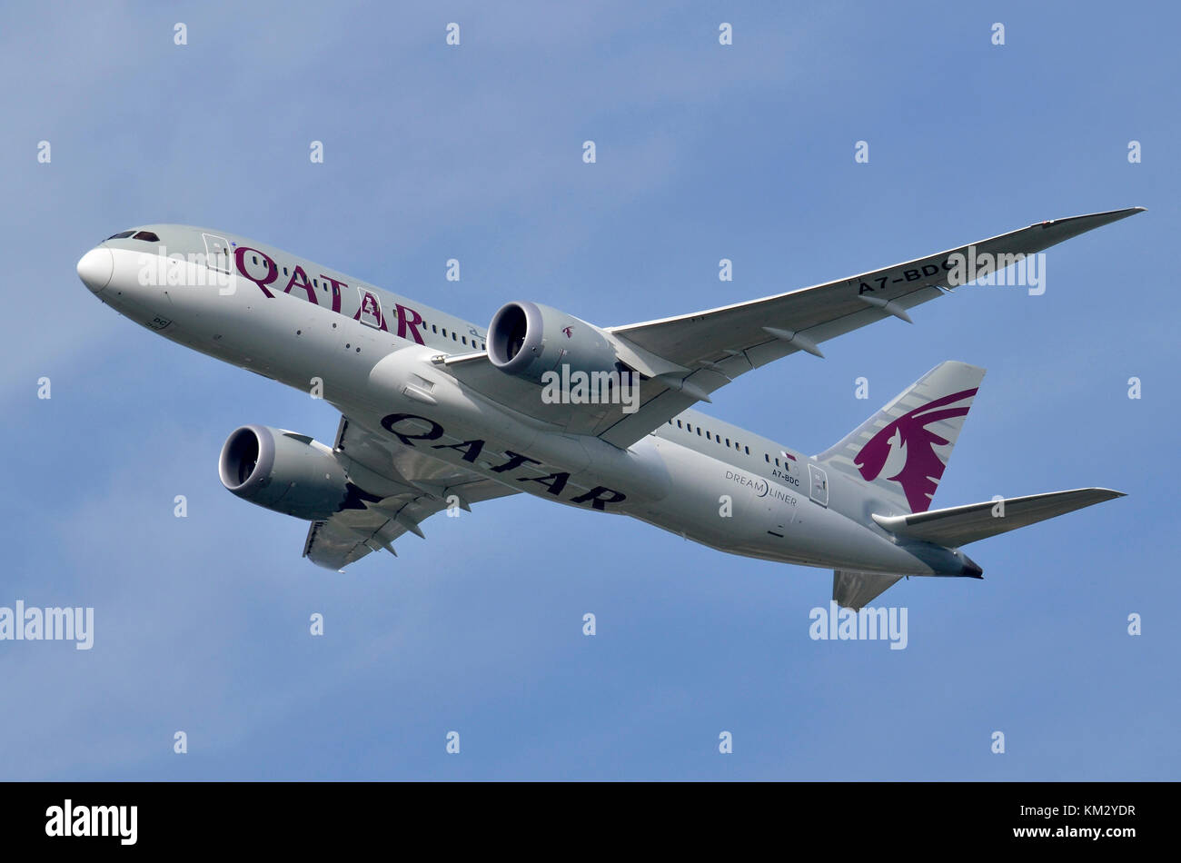 Qatar Airways 787