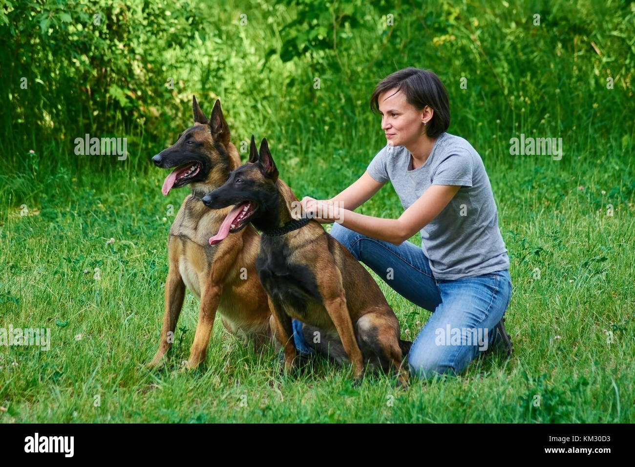 Woman dog friend sit hi-res stock photography and images - Alamy